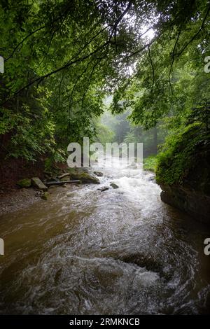 The river Raab flows through the Raabklamm gorge, Arzberg, Styria ...