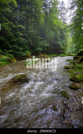 The river Raab flows through the Raabklamm gorge, Arzberg, Styria ...