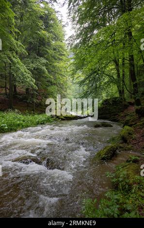 The river Raab flows through the Raabklamm gorge, Arzberg, Styria ...