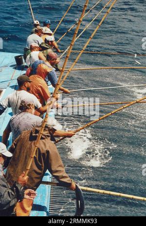 Pole and line tuna fisheries in the Azores islands, Portugal Stock ...