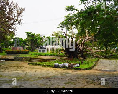 Typhoon Okinawa, Japan #Naha #KeramaIslands Stock Photo - Alamy