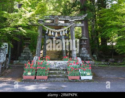 Japan, Kyushu. Torii Gate with Shimenawa Rope and Shide Paper Streamers ...