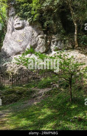 Japan, Kyushu. Kumano Magaibutsu, Buddhist Stone Relief Carving of Fudo ...
