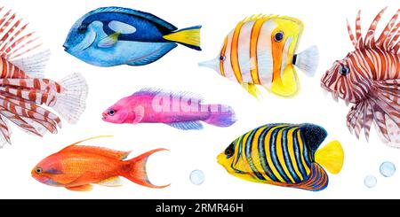 Watercolor drawing of royal angel fish and blue wave on white ...