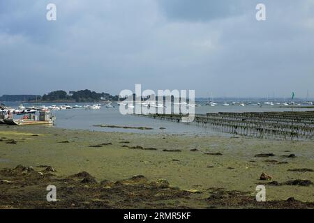 View across Anse du Logeo and oyster beds at low tide from Le Logeo ...
