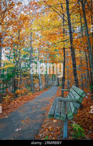A scenic autumn landscape in Conway Summit, Eastern Sierra, California ...