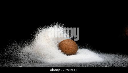 Coconut, cocos nucifera, Fruit and Powder Exploding against Black ...