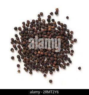 View of a Black pepper vine (Piper nigrum) has a spike that is green ...