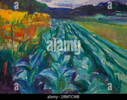 Cabbage Field 1915 by Edvard Munch Stock Photo - Alamy