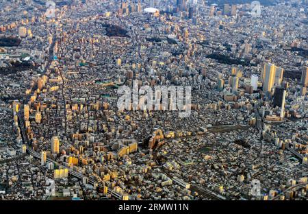 Tokyo metropolis. Aerial view 2023 Stock Photo - Alamy