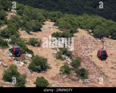 A journey in the green forests of Ajloun in Jordan, from inside the ...