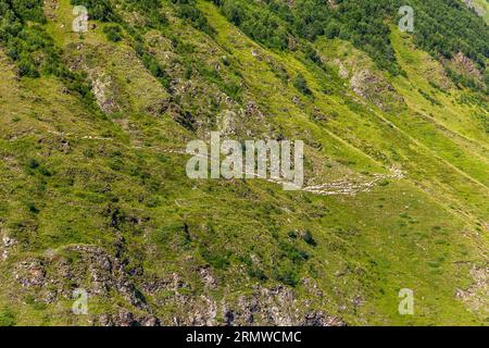 Tusheti, Georgia, is known for its high quality sheep products (milk ...