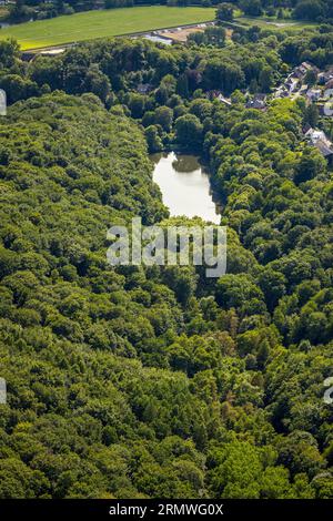 Aerial view, hammer pond in Hohenstein forest area, river Ruhr and ...