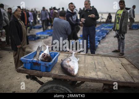 Palestinian fishermen fish at the port of Gaza City on September 7 ...