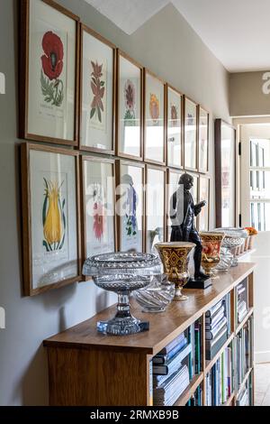 Botanic prints by Bryan Poole in passage to garden room. 18th century ...