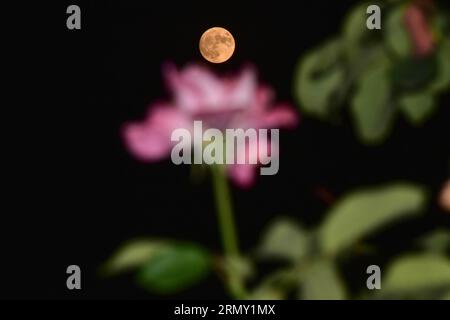 The super Blue Moon rises in Srinagar, the summer capital of Jammu and ...