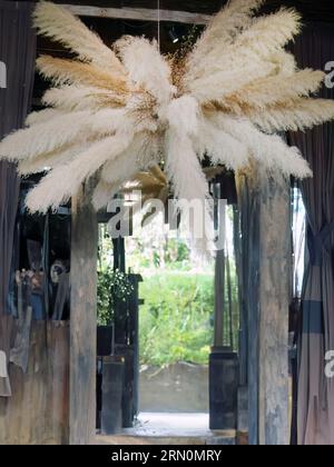 Pampas grass, or Cortaderia selloana modern landscape design plant ...