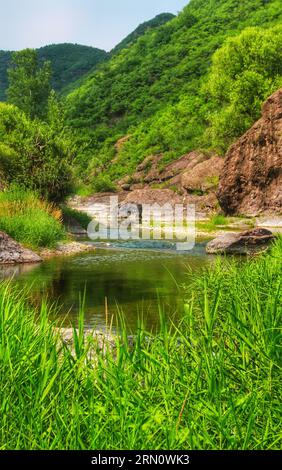 A scenic view of a reflective river with green shoreline trees at ...