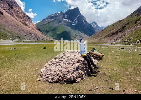 Fresh pile of sheep wool, Warwan Valley, Kashmir, India Stock Photo - Alamy
