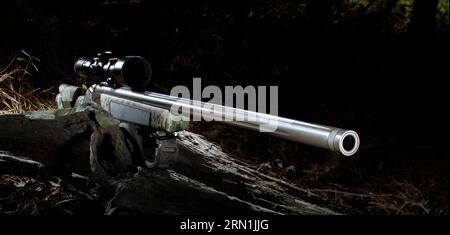 Dark forest with a .50-caliber rifle that is an inline muzze loader ...