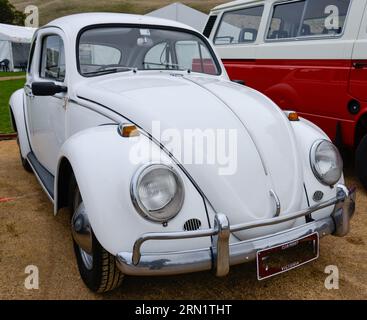 Volkswagen VW Beetle White Vintage Retro Show Shine Day Out, Melbourne Victoria Stock Photo - Alamy