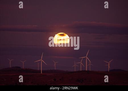Canberra, Australia. 31st Aug, 2023. Minerals Council of Australia ...