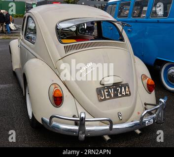 Volkswagen VW Beetle Bone Cream White Vintage Retro Show Shine Day Out, Melbourne Victoria Stock ...