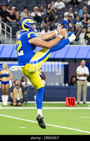 Los Angeles Rams punter Ethan Evans (42) punts before a pre-season NFL ...
