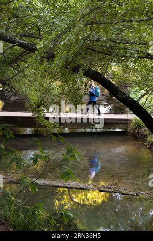 France, Gard, Uzès, Eure valley, the Alzon river parallel to the Roman ...