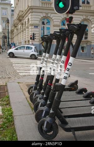 Logo of the Brussels' public transport company STIB-MIVB, in Brussels ...