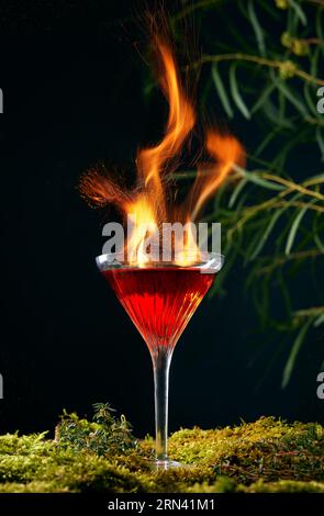 Gryffindor inspired cocktail which is red color and there is a fire ...