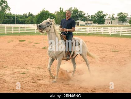 Tulsa King TV series Sylvester Stallone Stock Photo - Alamy