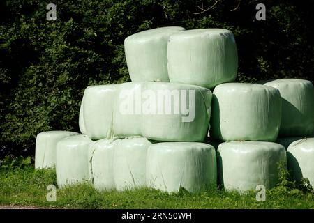 Grass silage packed with green plastic sheeting, hay, Lower Saxony ...