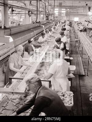Man working on sorting line at fruit warehouse, stacking boxes with ...
