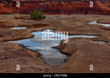 Rain pools at sunrise atop the Tsegi Overlook on the South Rim drive of ...