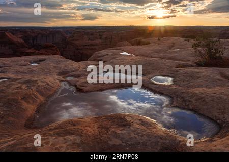 Rain pools at sunrise atop the Tsegi Overlook on the South Rim drive of ...