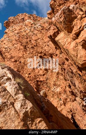 Siltstone walls with mica and quartz schist pushed up by metamorphosis ...