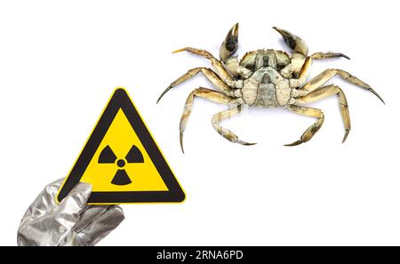 nuclear radiation warning sign and a crab concept of unsafe seafood ...