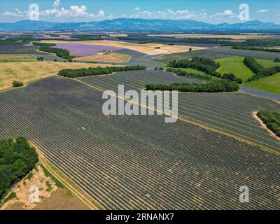 Aerial view of the lavender fields on the Plateau de Valensole in the ...