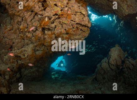 Diver explores St John's Caves in the southern Red Sea, Egypt Stock ...