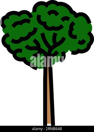 brazil nut tree color icon vector illustration Stock Vector Image & Art ...
