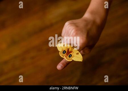 Close up of an Emperor Moths wing showing its natural textures and ...