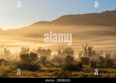 The Larapinta Drive between Alice Springs (Mparntwe) and Simpsons Gap ...