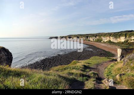 The View South along Blast Beach towards Chourdon Point from Nose’s ...