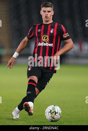 Bournemouth's head coach Andoni Iraola gives instructions to his ...