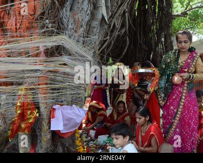 Women Worshiping of Sacred Vat or banyan Tree on Vat Savitri or Vat ...