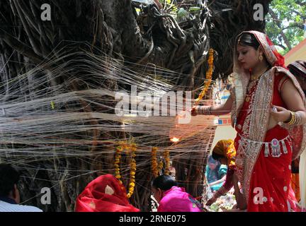 Women Worshiping of Sacred Vat or banyan Tree on Vat Savitri or Vat ...
