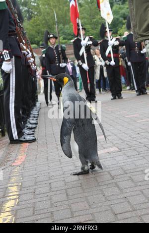 King penguin, Sir Nils Olav, during a ceremony with the King's Guard ...