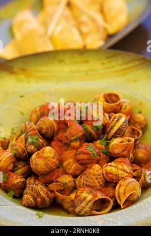 Snails in tomato sauce, served for lunch ("pranzo") at a home in ...