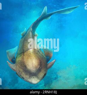 400 million years old Silurian sea shell fossil (Brachiopod) from ...